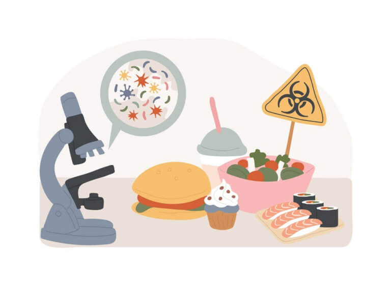 What Are The Four Types Of Food Contamination? | John Academy